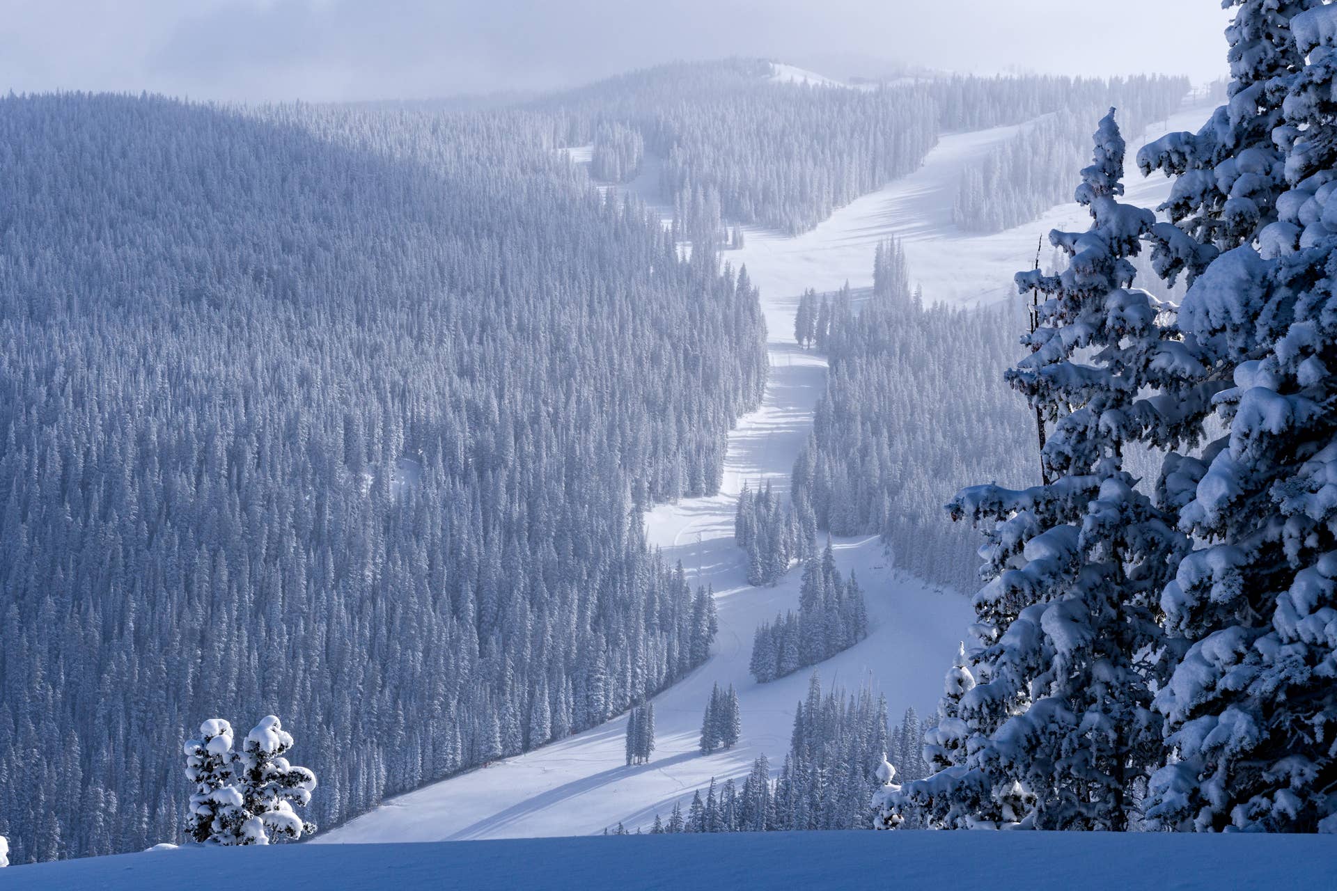 Epic Pass Announces New 'Friends Tickets'—50% Off - Snowboarder