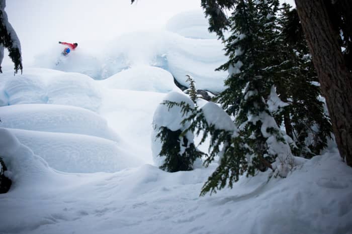 Photo of the Day: Mike Yoshida