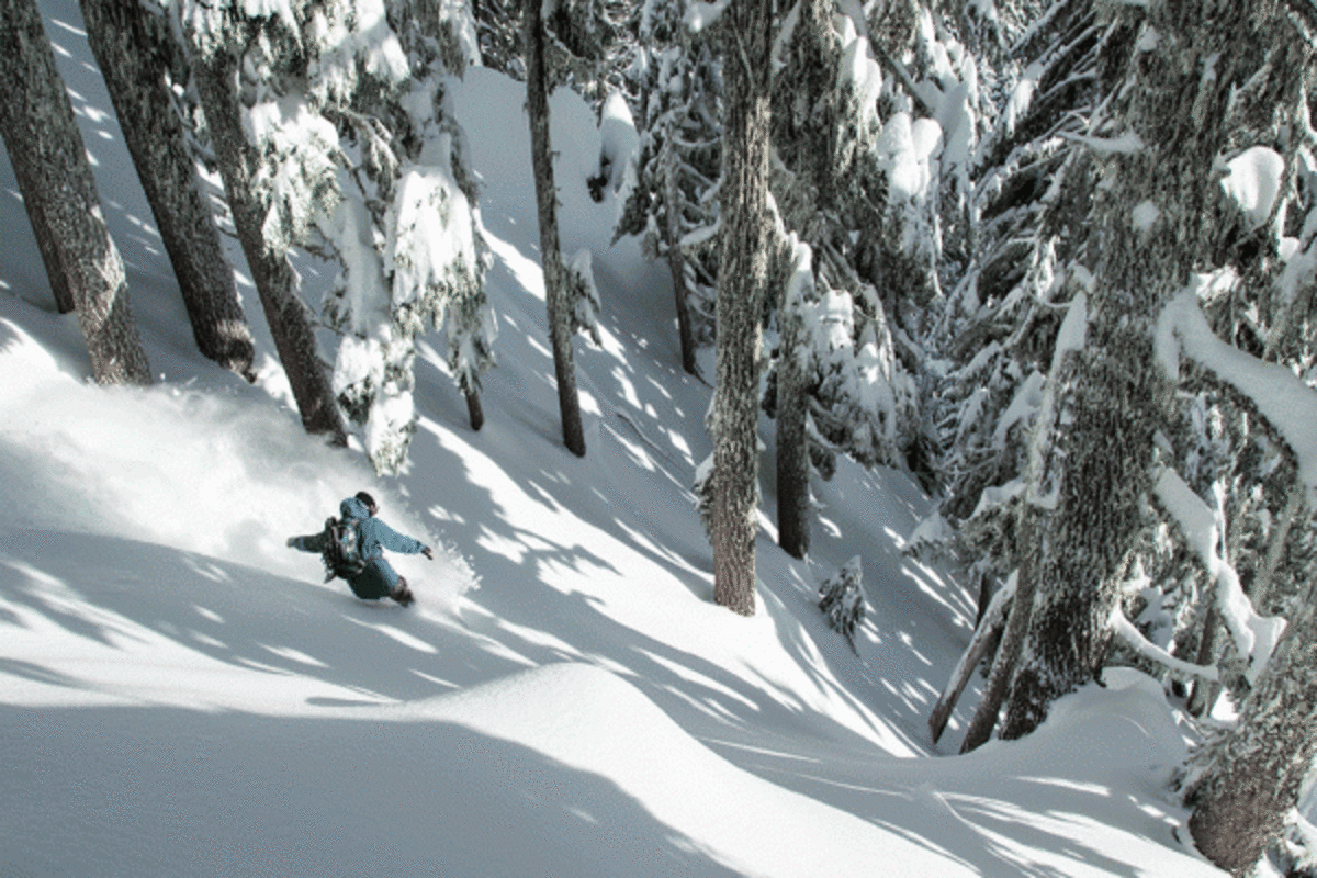 Niche in Final Testing of 100% Recyclable Snowboard - Snowboarder