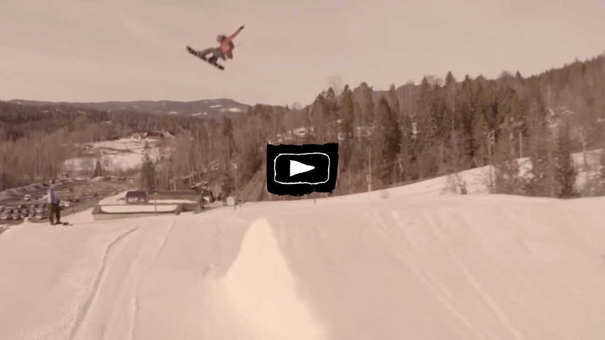 Packed Fridge—A Day In The Park