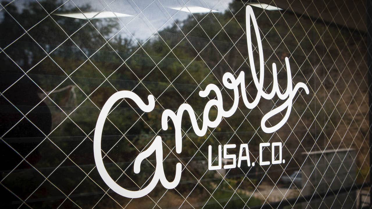 Gnarly Clothes Logo Gnarly Longsleeve Grey XXL – Endless Winter
