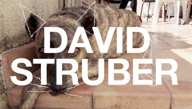 welcome to the family | DAVO STRUBER