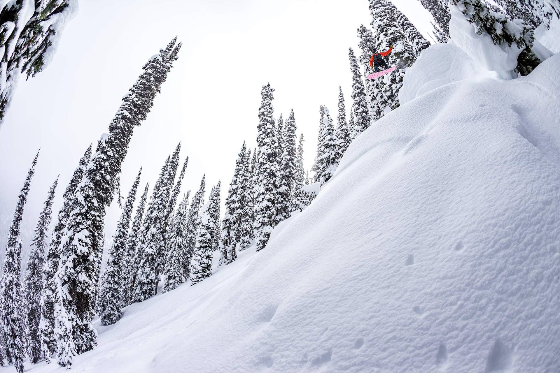 Nitro Quiver Cannon: Powder Board Review 2019 - Snowboarder