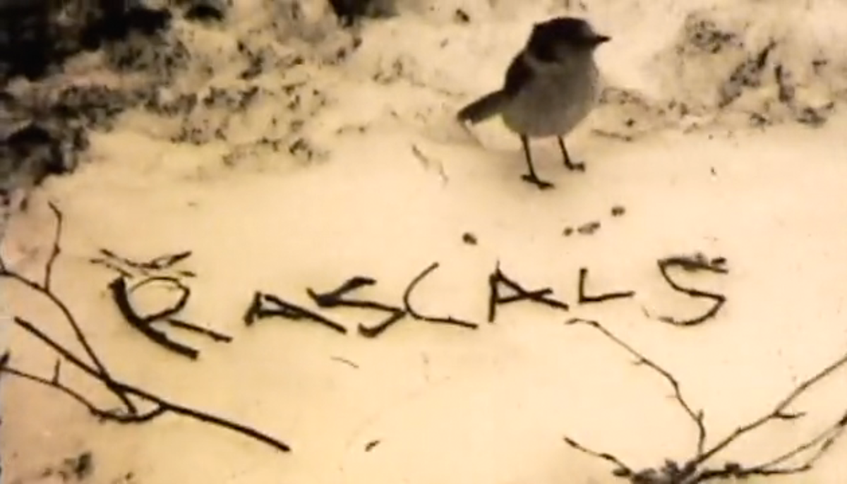 The Rascals: Full Movie