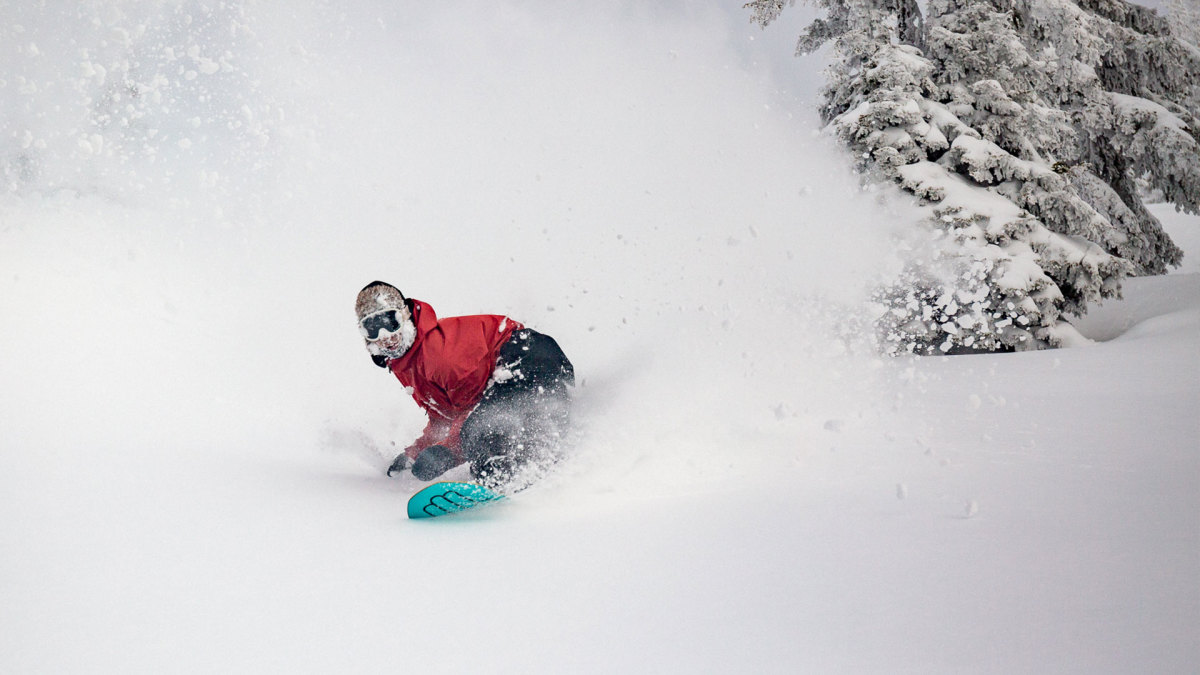 Bataleon Presents 'Toshiki Death—Fight For Liberty'