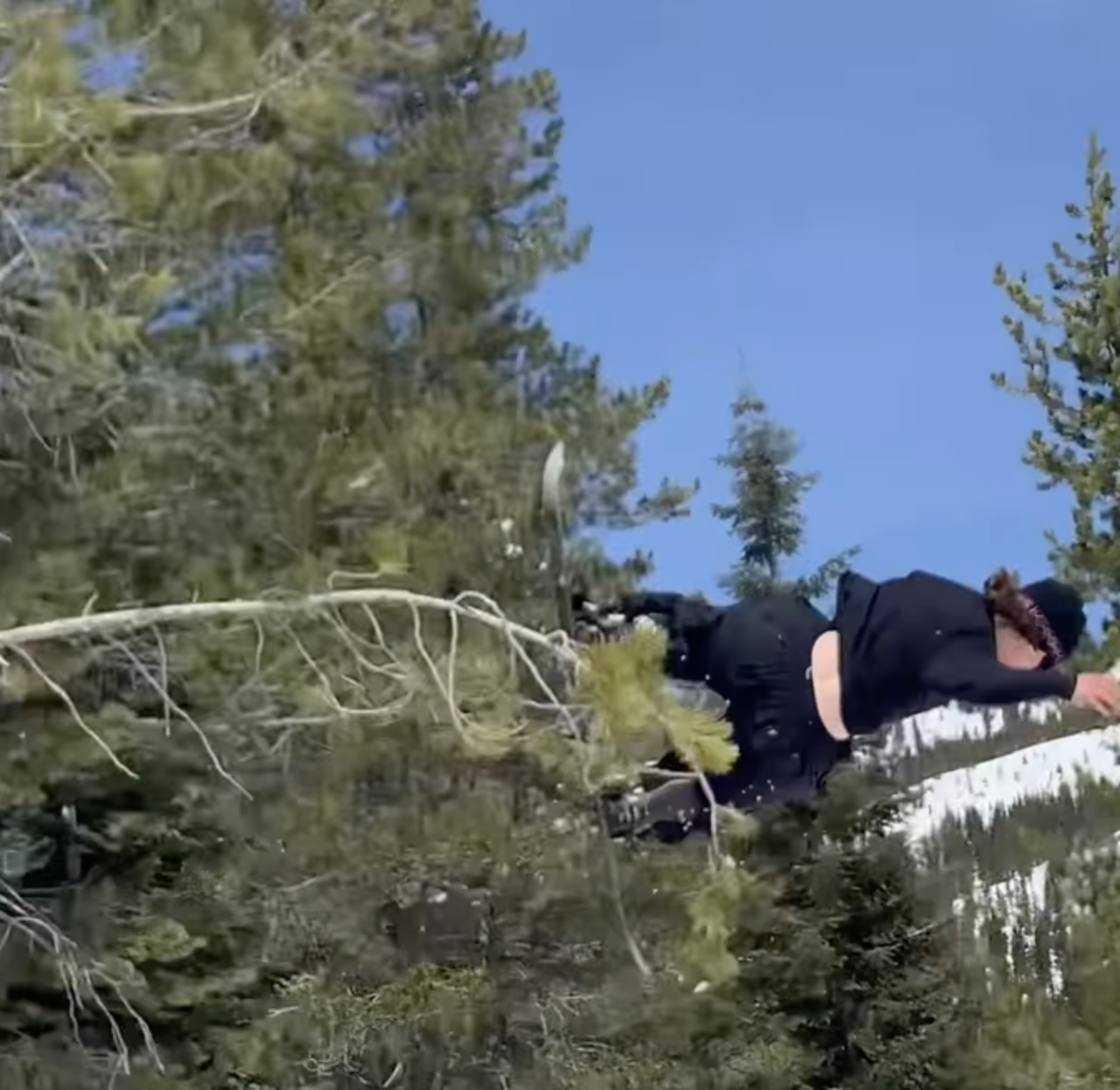 Watch Out For That Tree: Snowboarder Rumbles With Branch Mid-Air