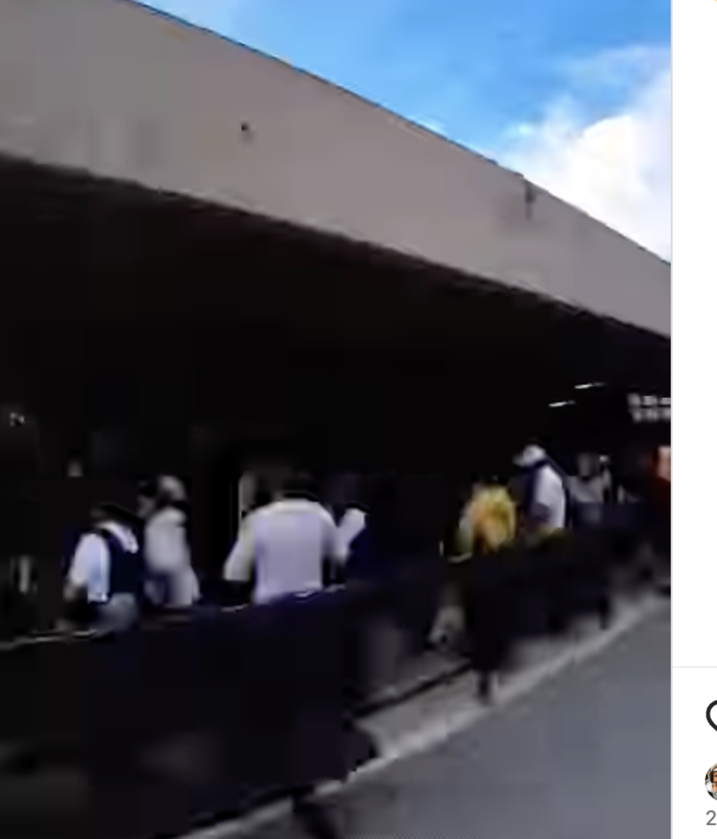 Watch: Snowbird's Summer Gondola Line Reaches Record Lengths