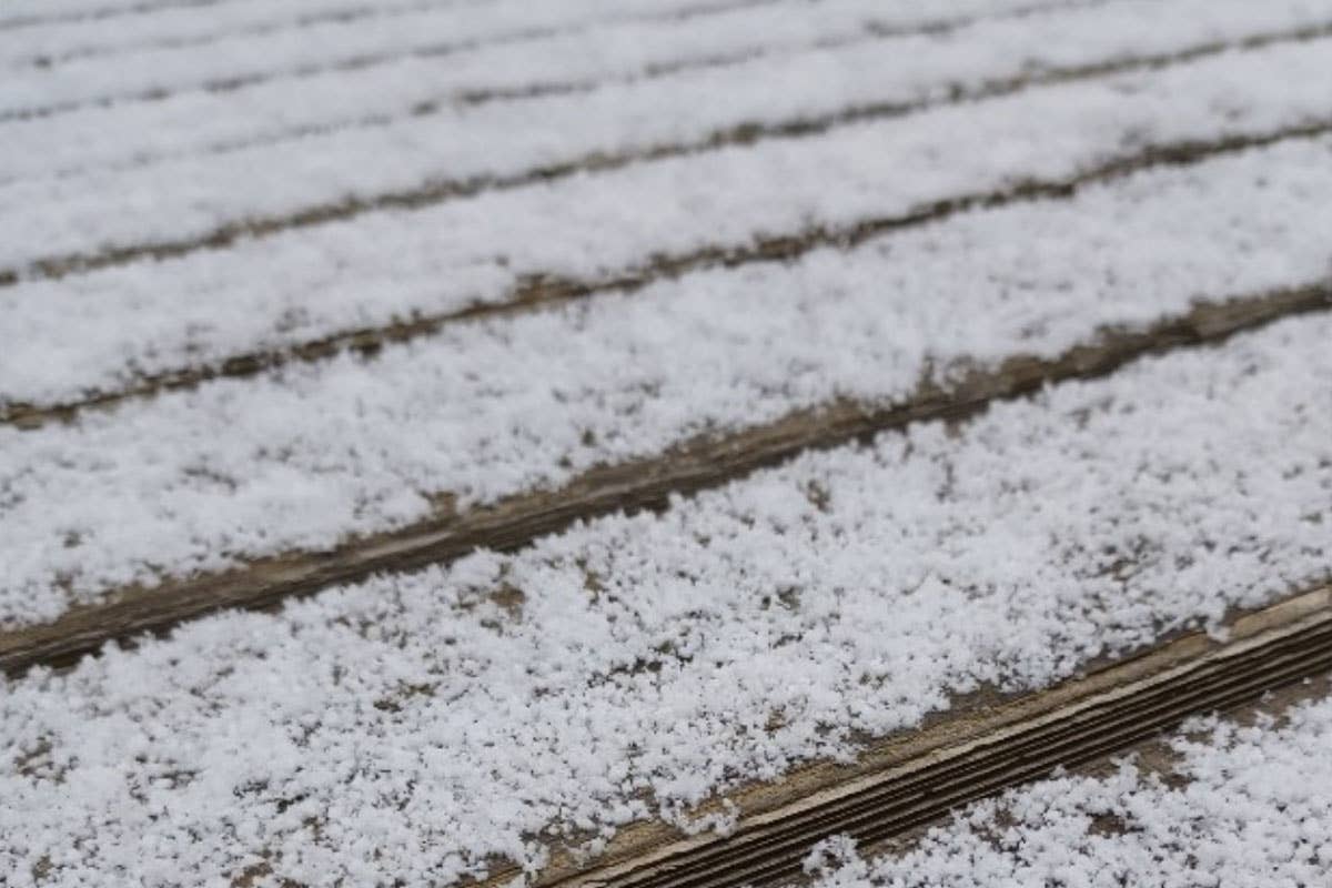 Washington Welcomes First Snowfall of the Season!