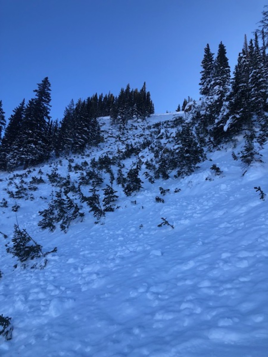 Largest In-Bounds Avalanche in Steamboat's History Sparks Warnings