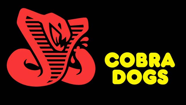 A Cobra Dog Summer - Snowboarder