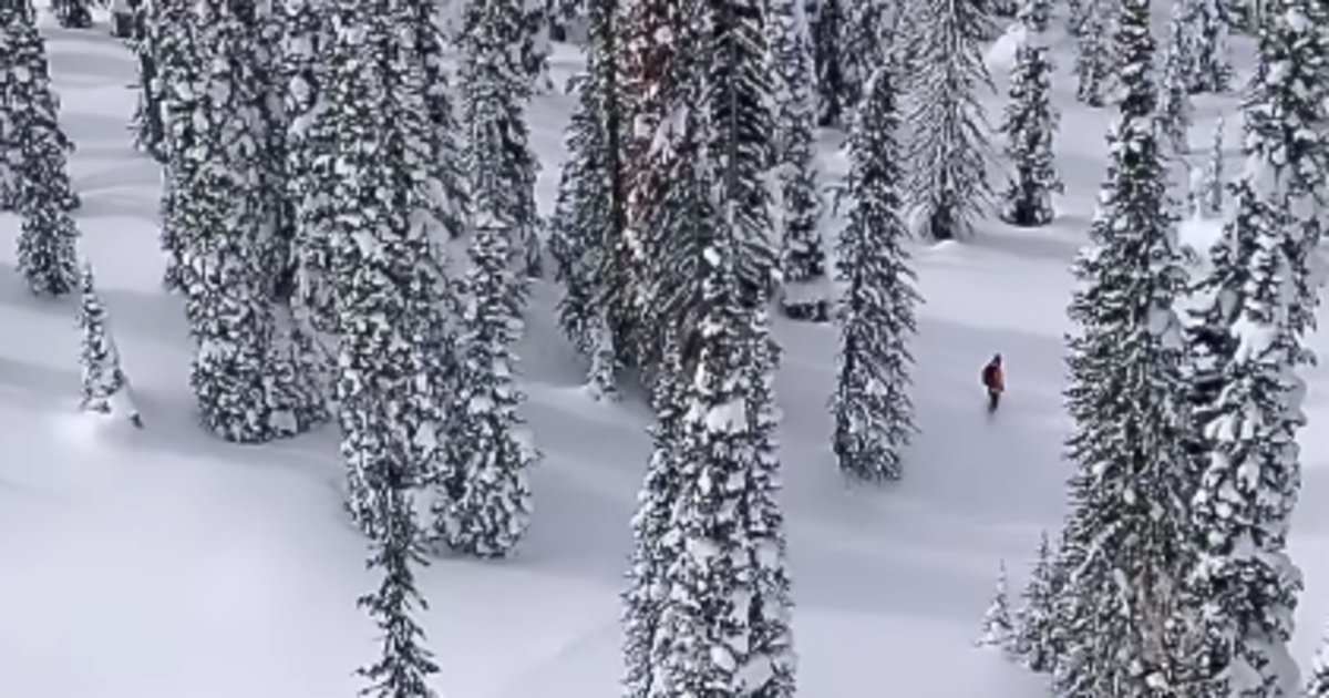 Watch: This Video Perfectly Captures the Joy of Riding with Friends on ...