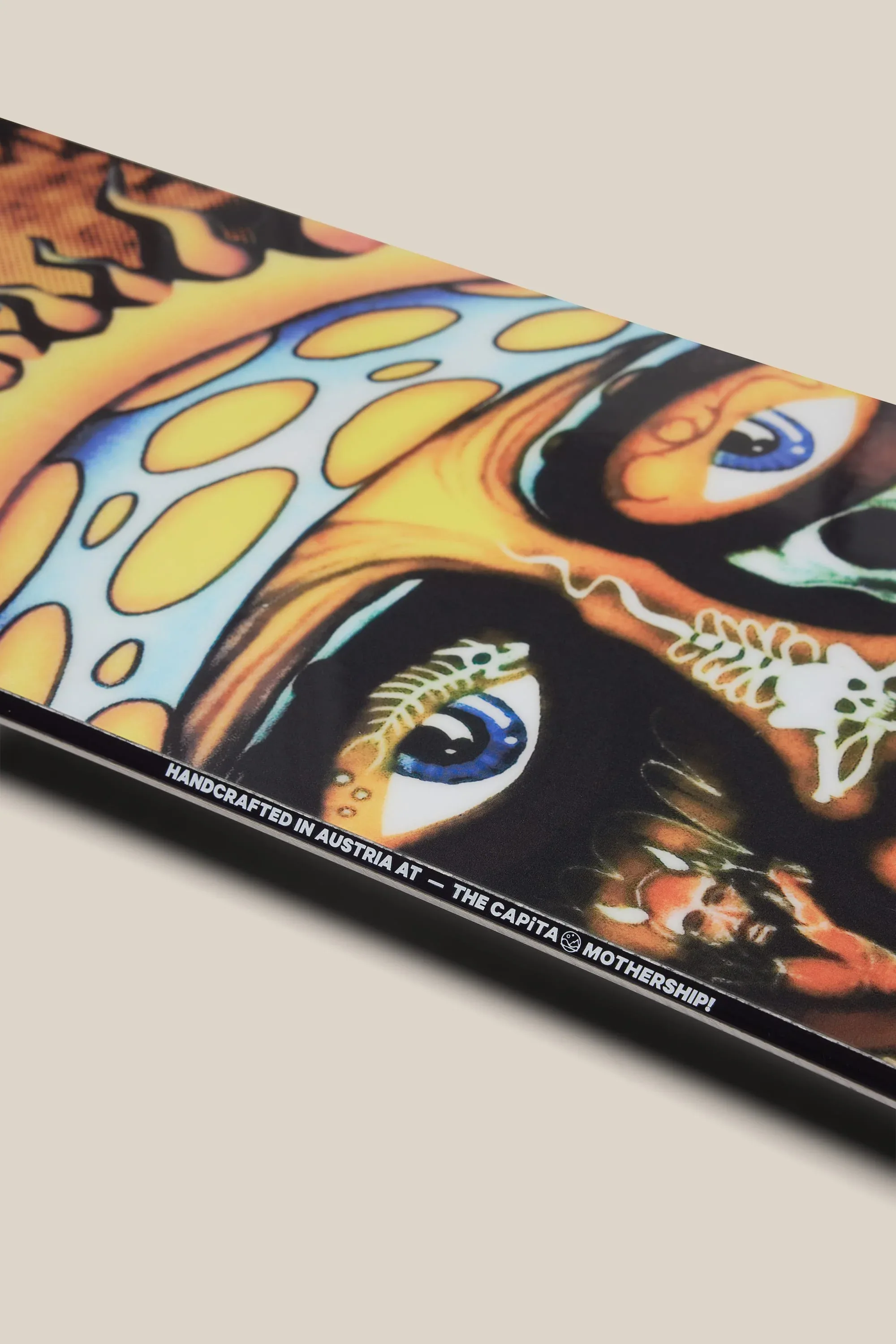 Sublime Collaborates With Snowboard Brands for Full Lineup of Gear ...