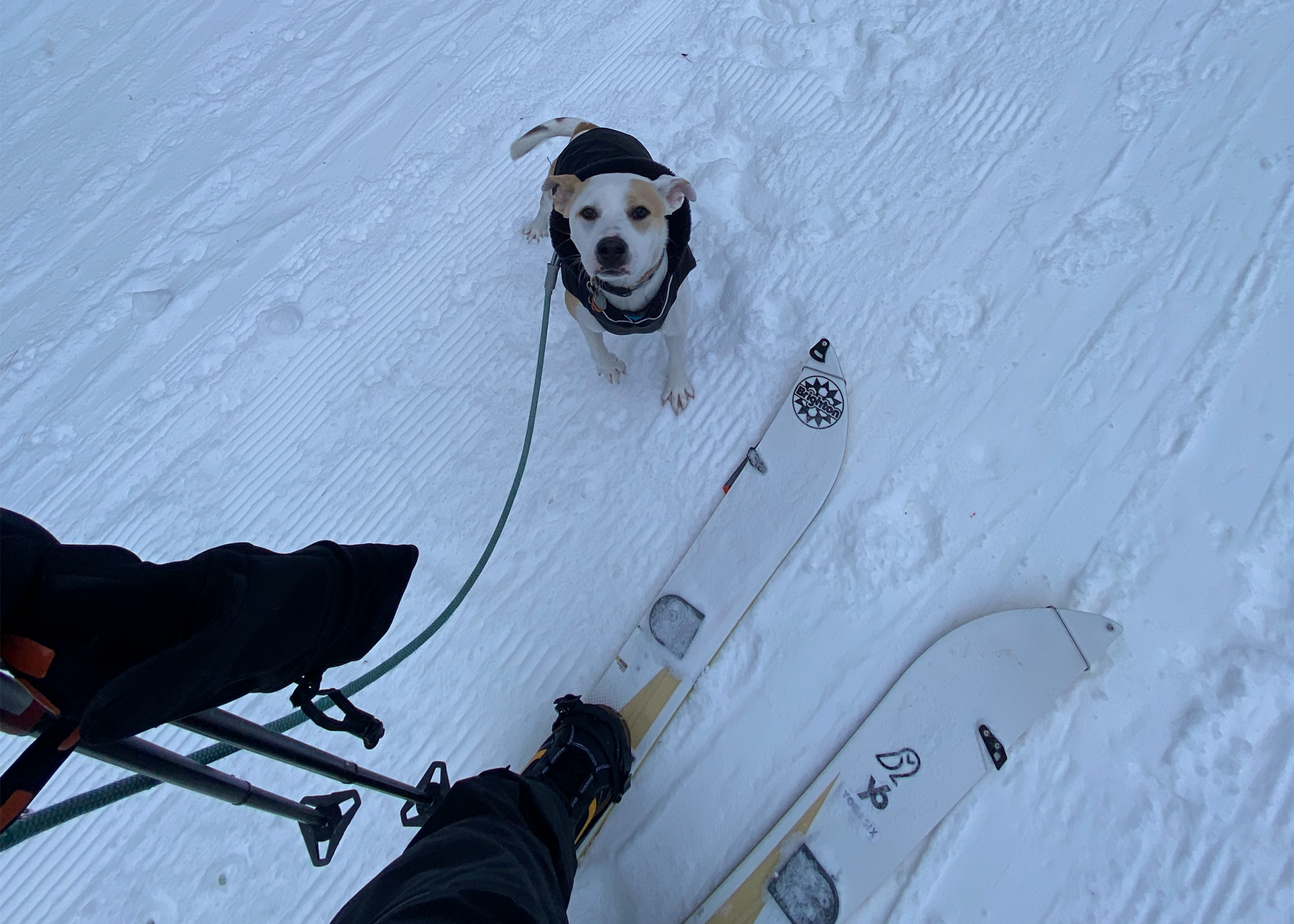 Review: WNDR ALPINE Shepherd Tour is an ideal splitboard for less-than ...